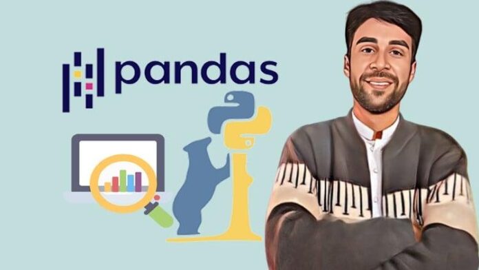 2025 Pandas Bootcamp: Master Data Analysis with Python 3